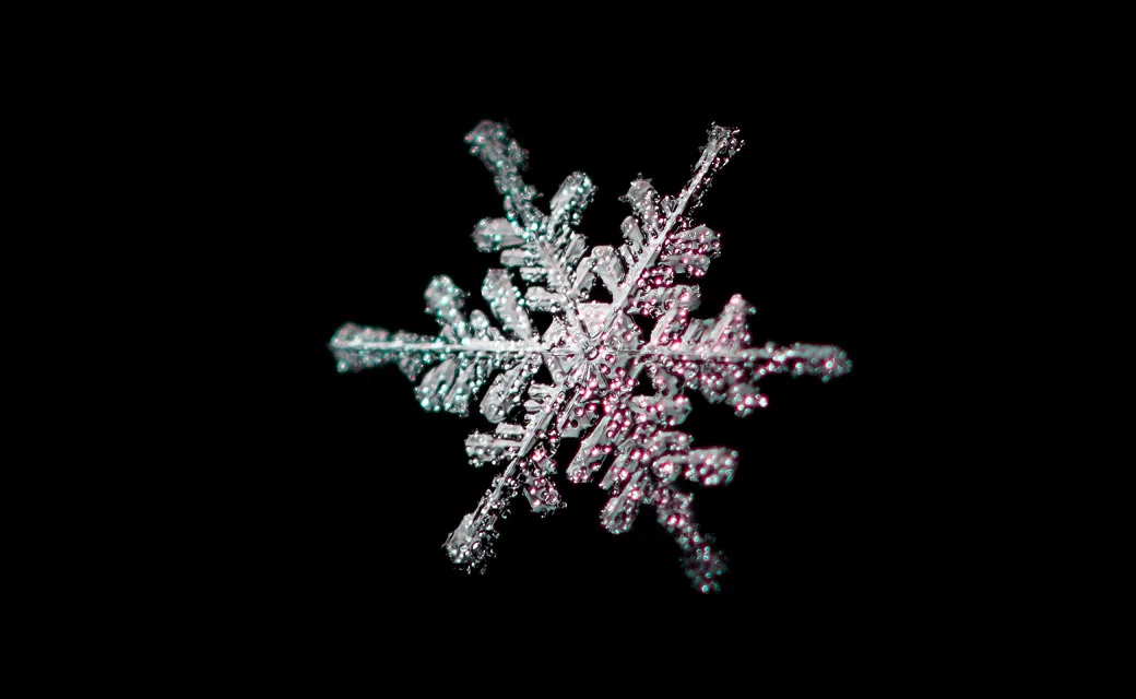 Die Generation Snowflake: hochtalentiert und führungsunfähig ...